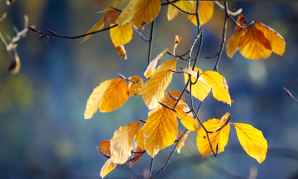 Destinații de toamnă spectaculoase, în culori de sezon